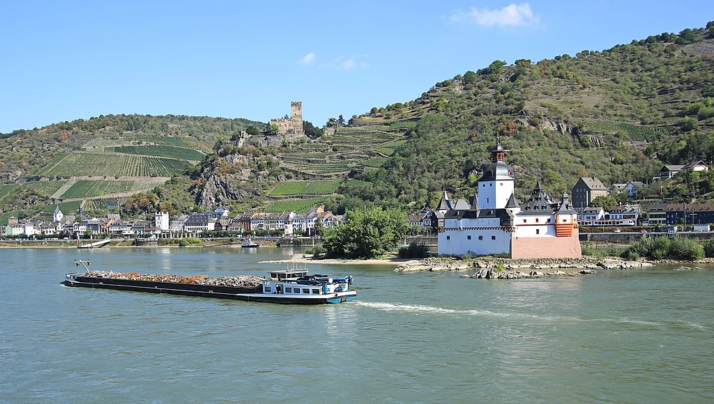 hlth3011 - University Honors Program | University of Cincinnati