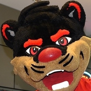 Bearcat Card - Essential Services for New Students | University of ...