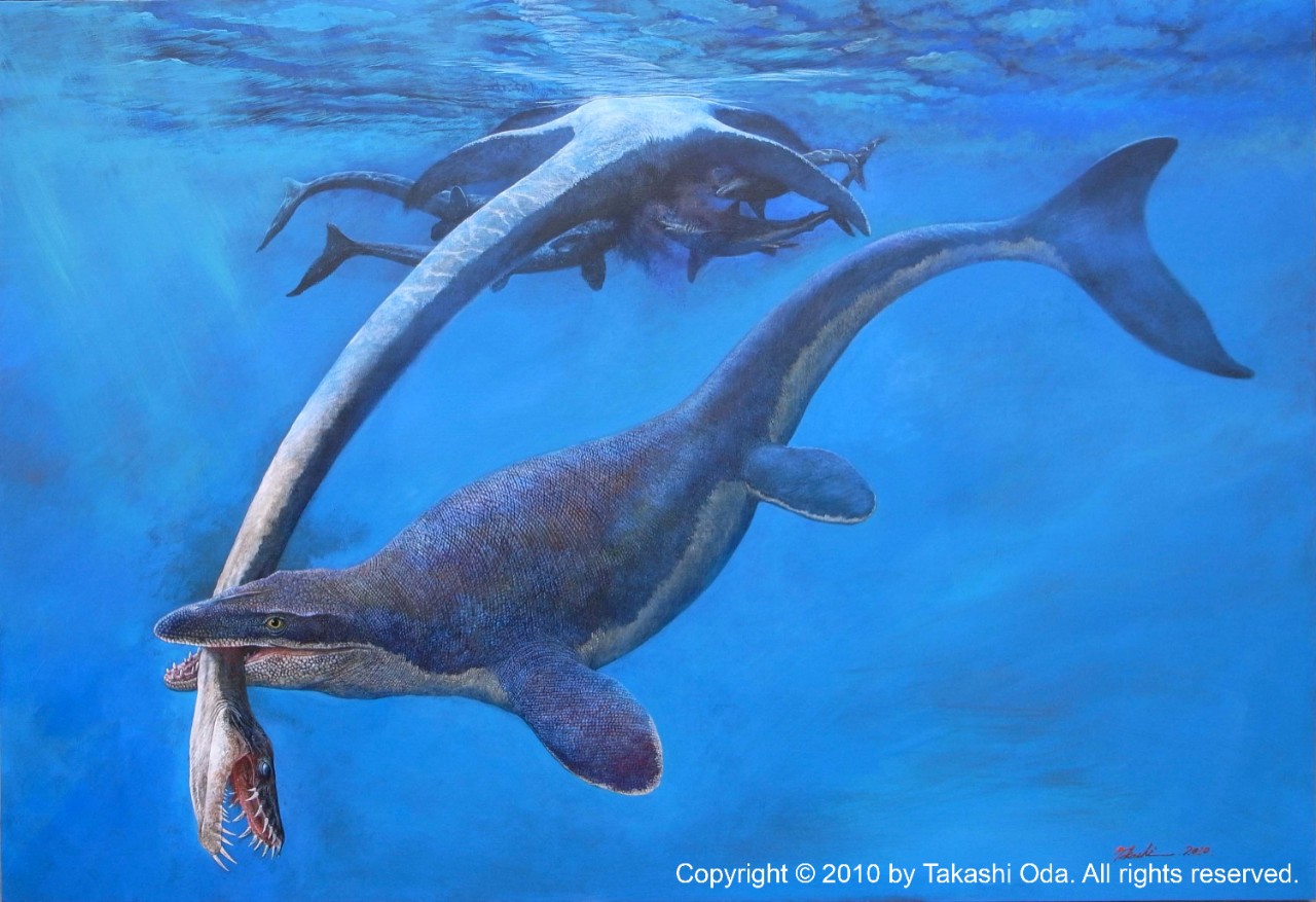 UC expert: Did mosasaurs hunt like killer whales? | University of ...