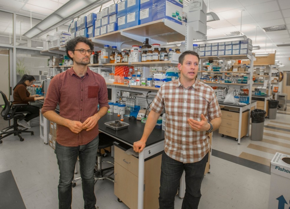 UC study: Antarctic flies protect eggs with 'antifreeze' | University ...