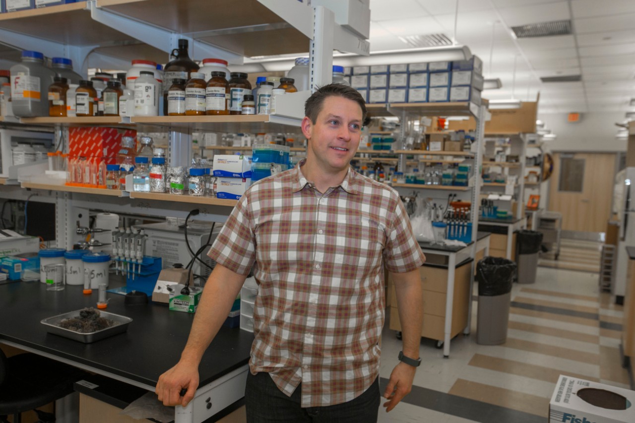 UC study: Antarctic flies protect eggs with 'antifreeze' | University ...