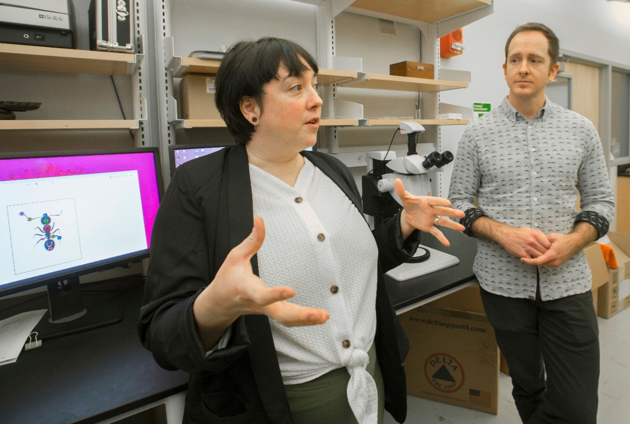 'Science Friday' highlights UC's research on jumping spiders ...