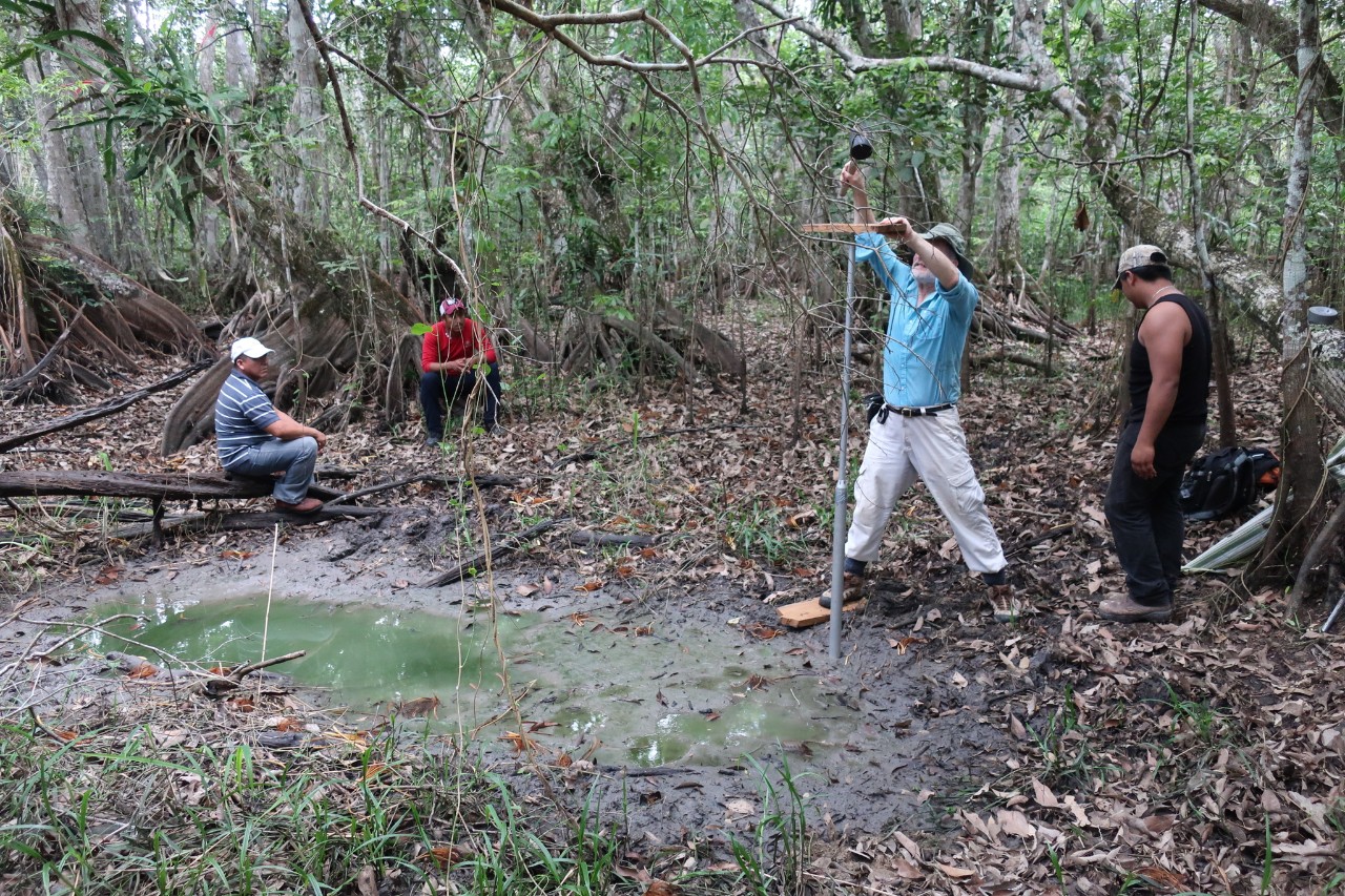 UC researchers find ancient Maya farms in Mexican wetlands | University ...