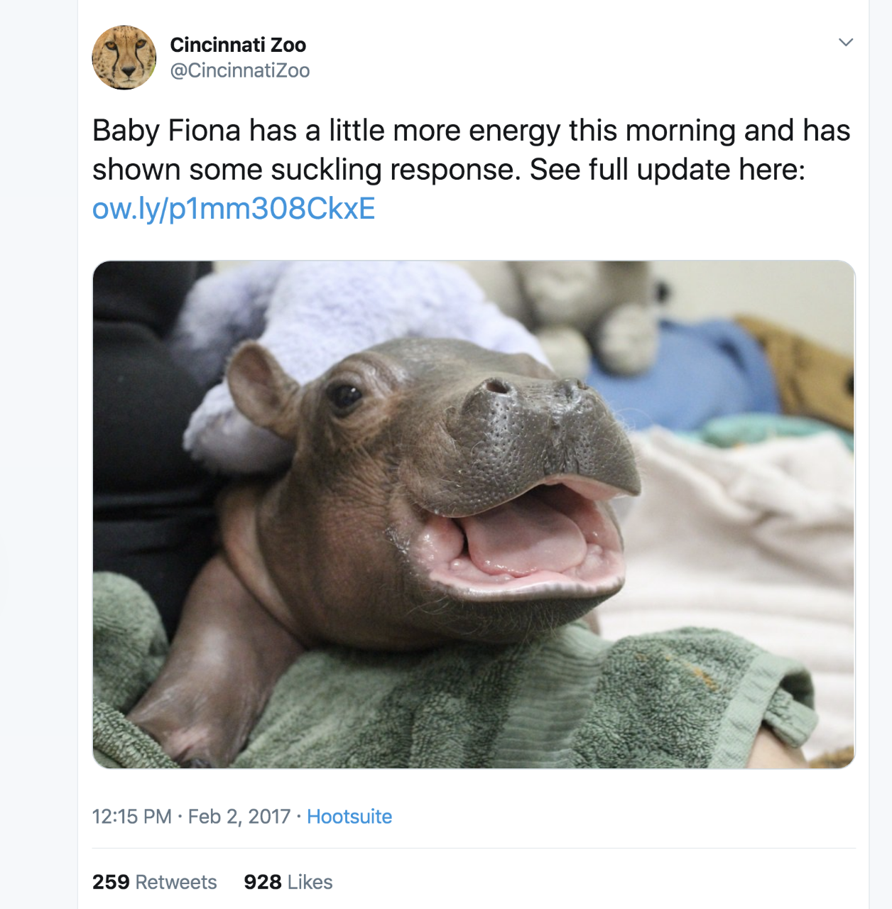 Finding Fiona: Social media quest leads to new UC startup | University ...