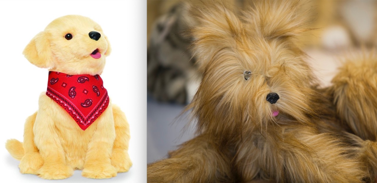 UC team’s high-tech pets to help seniors | University of Cincinnati