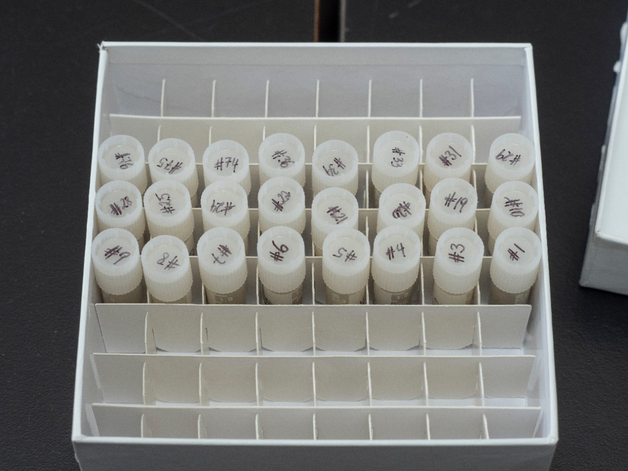 UC discovers new way of tracking jaguars | University of Cincinnati