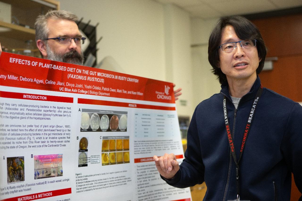 Invasive crayfish succeed across northern states because of wide-open ...