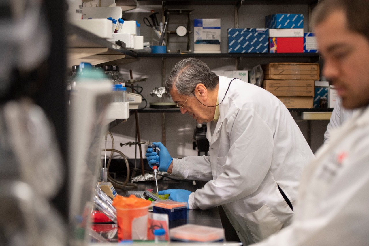 Alvaro Puga receives UC faculty award for research advancements ...