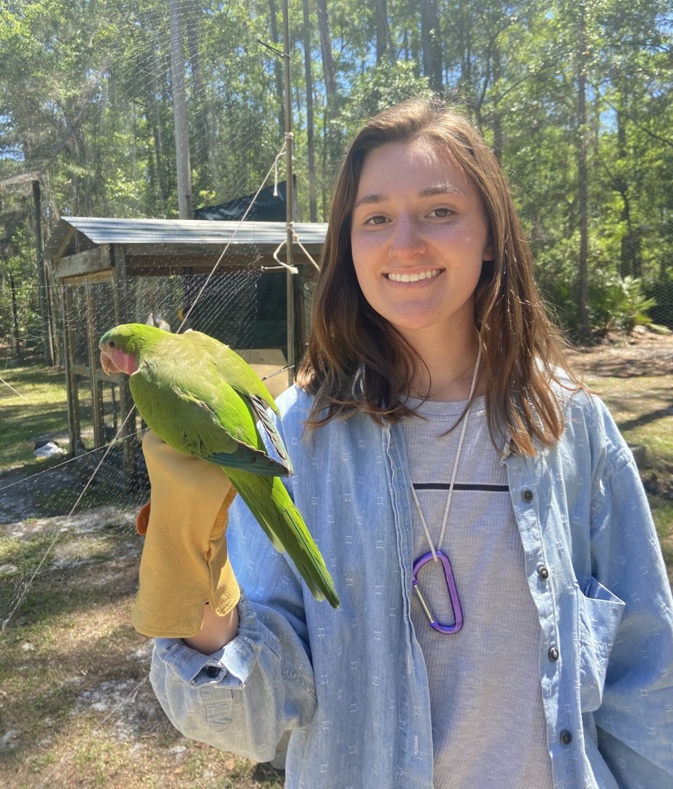 Birds use complex social networks to pick strategic fights | University ...