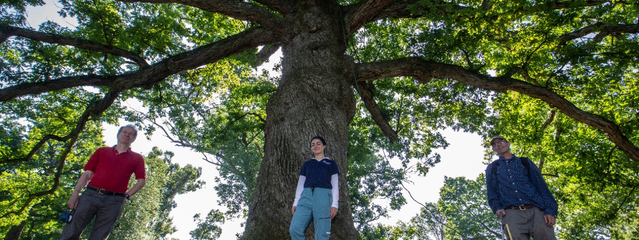 UC creates living tribute to trail-blazing Ohio botanist E. Lucy Braun ...