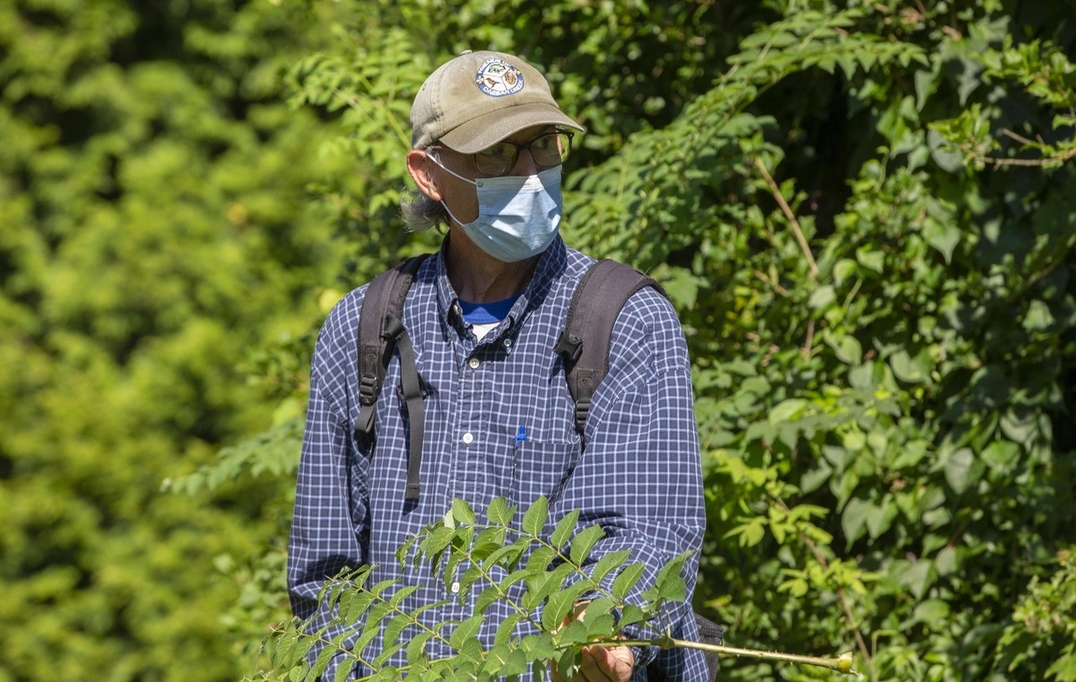 UC creates living tribute to trail-blazing Ohio botanist E. Lucy Braun ...