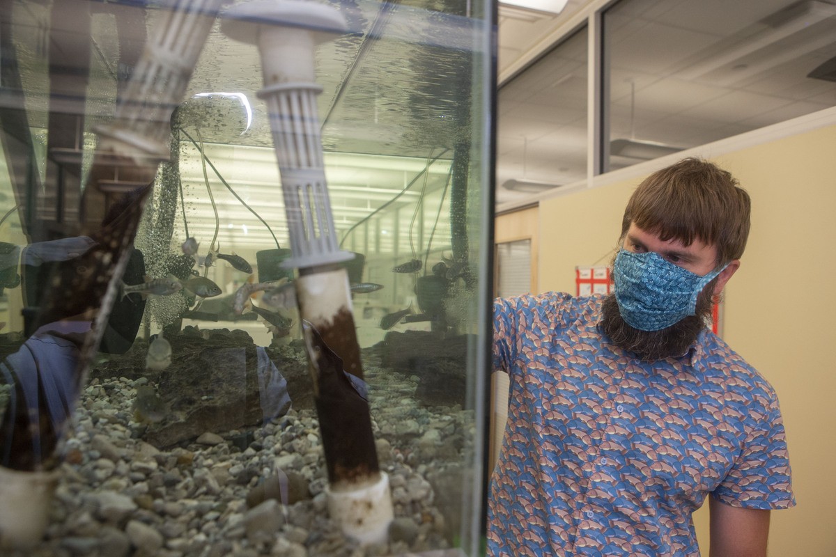 Earth.com highlights UC research on endangered steelhead migration ...