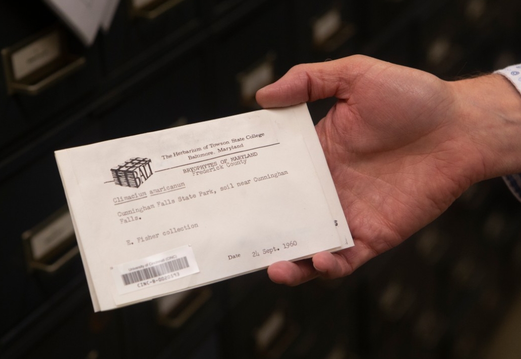 UC contributes to global plant database in NSF project | University of ...