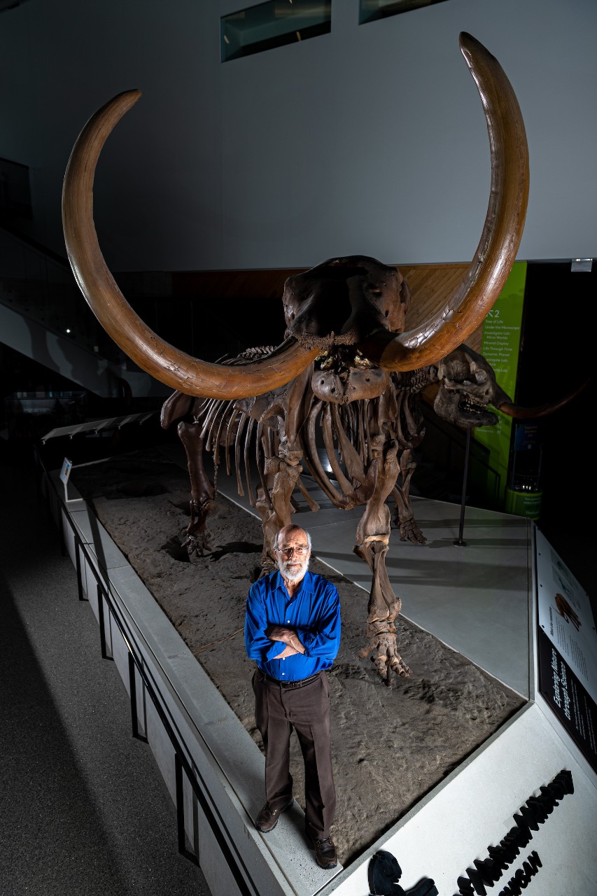 UC study tracks seasonal migration of extinct mastodons | University of ...