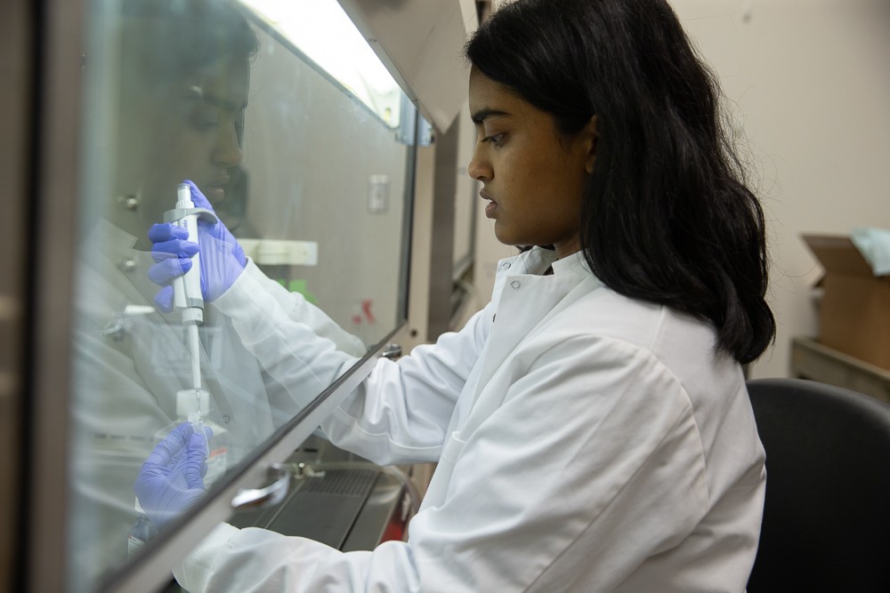 UC's UPRISE program gives underrepresented students a chance ...