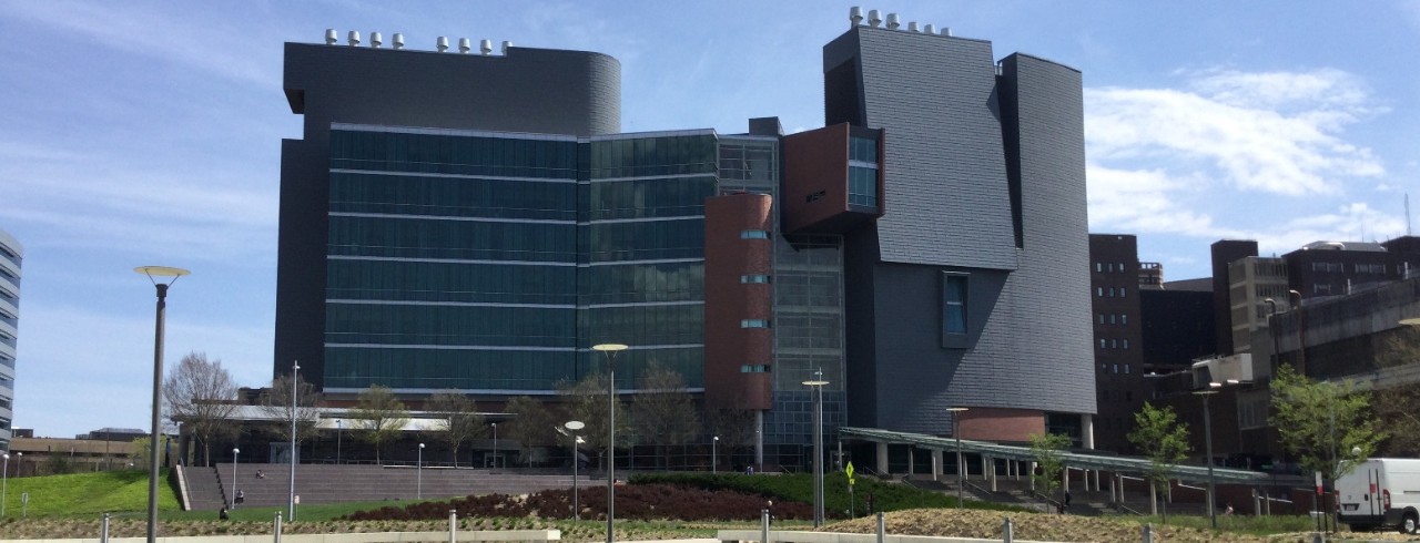 Batisky-named-associate-dean | University Of Cincinnati