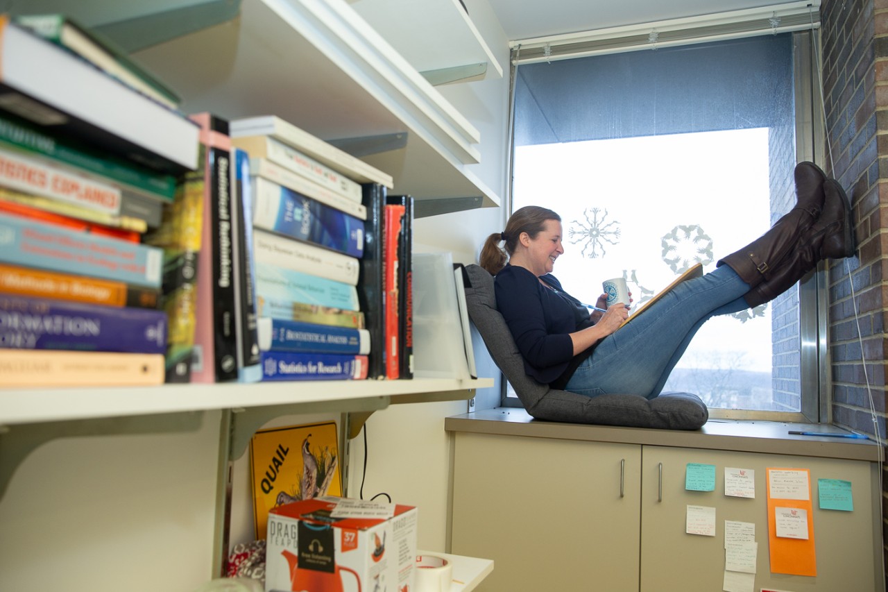 Gregarious monk parakeets lose social standing during an absence ...