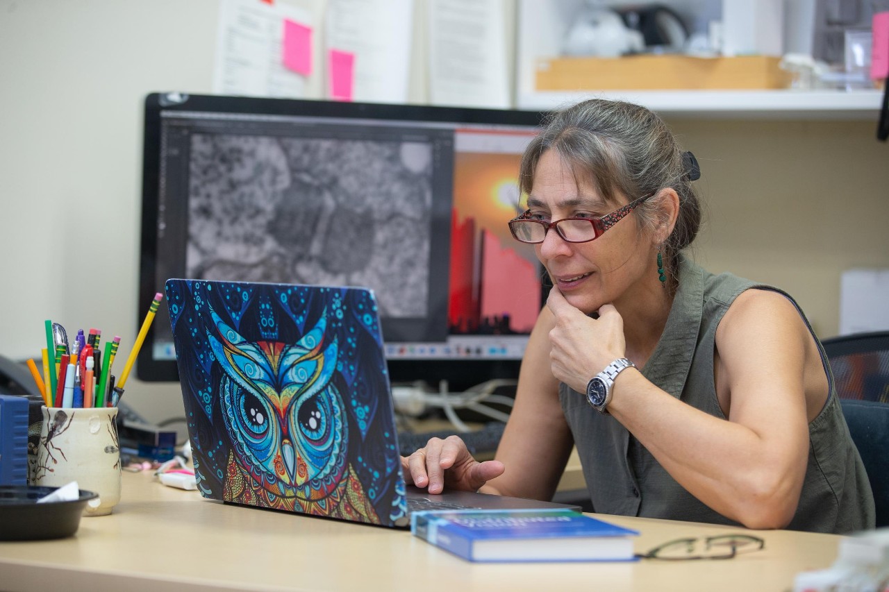 Science writers highlight UC discoveries about how nutrition affects spider vision | University ...