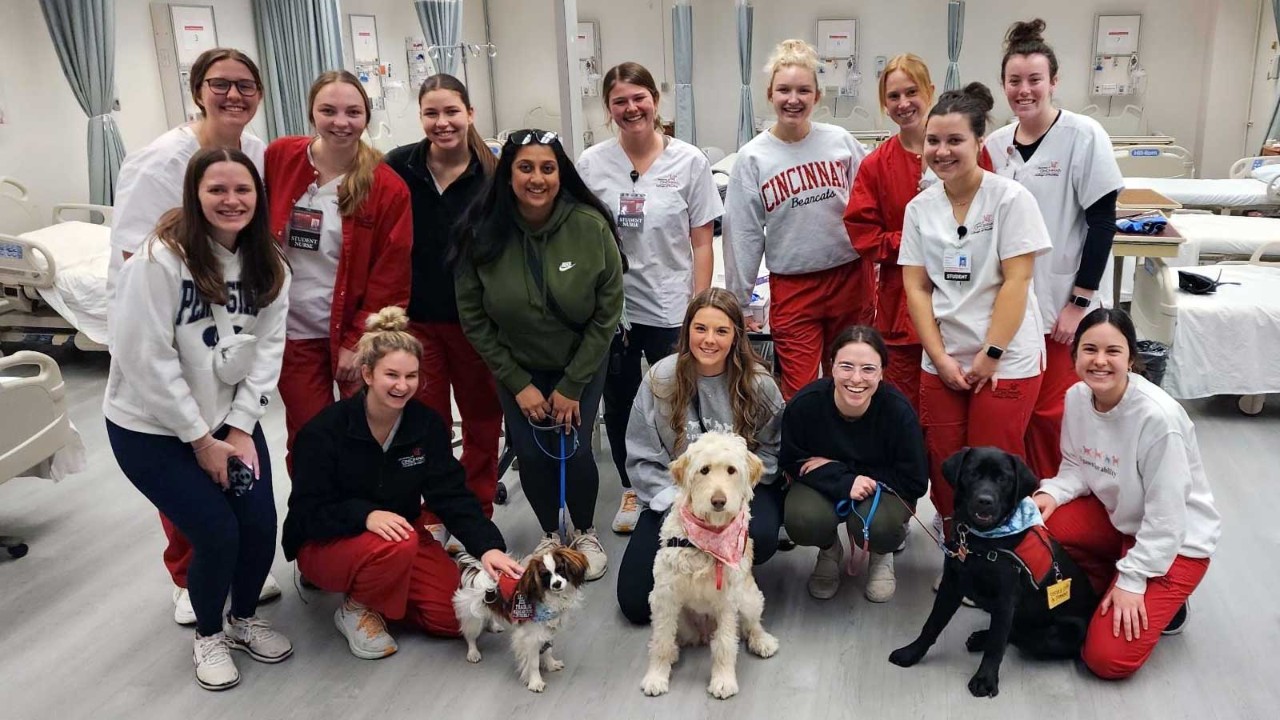 This dog is about to have his day walking at Commencement with a UC ...