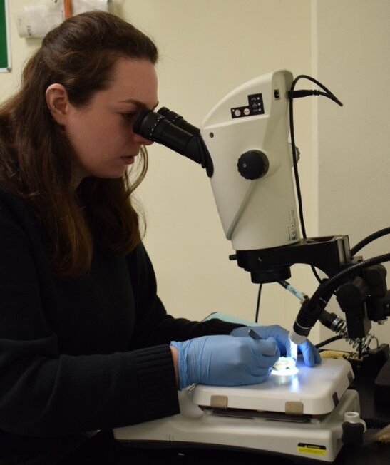 UC engineering student helped start new lab | University of Cincinnati