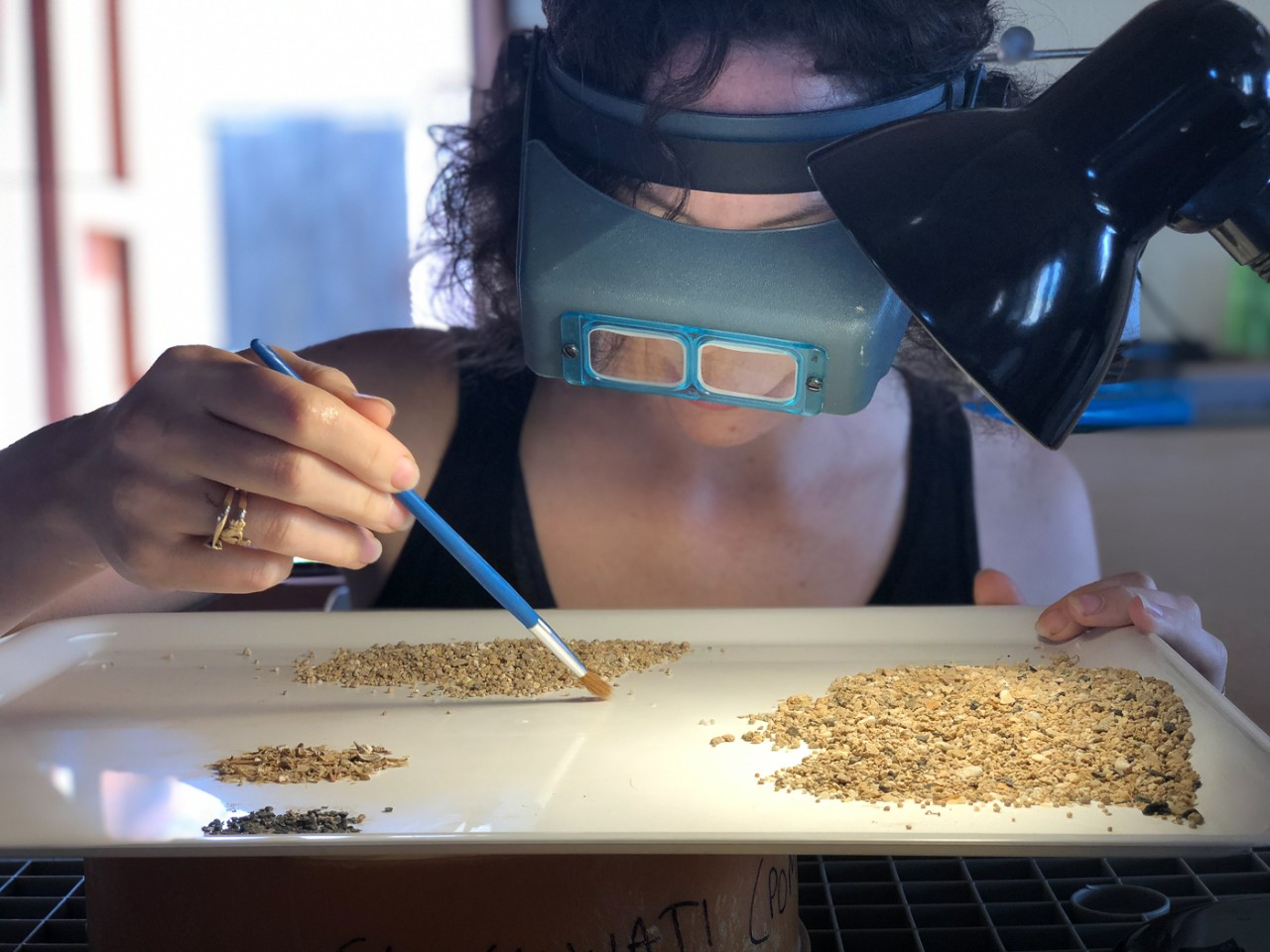 UC Classics professor shares expertise about Pompeii in new Cincinnati Museum Center exhibit ...