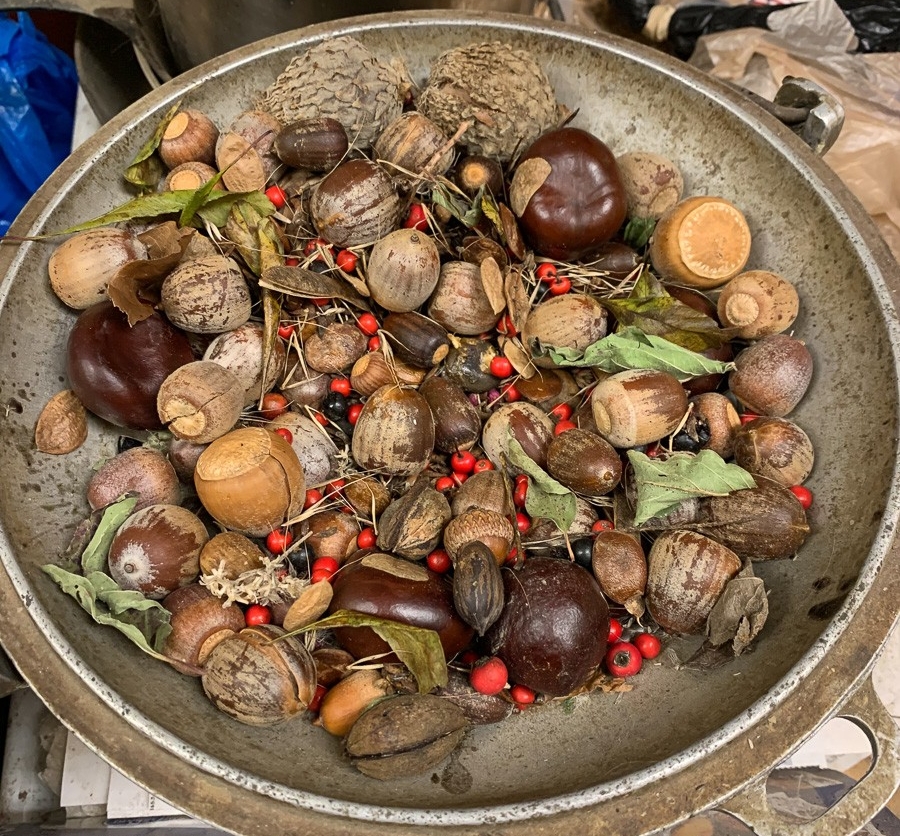 Invasive honeysuckle control: Nontoxic ways to kill weeds | University ...