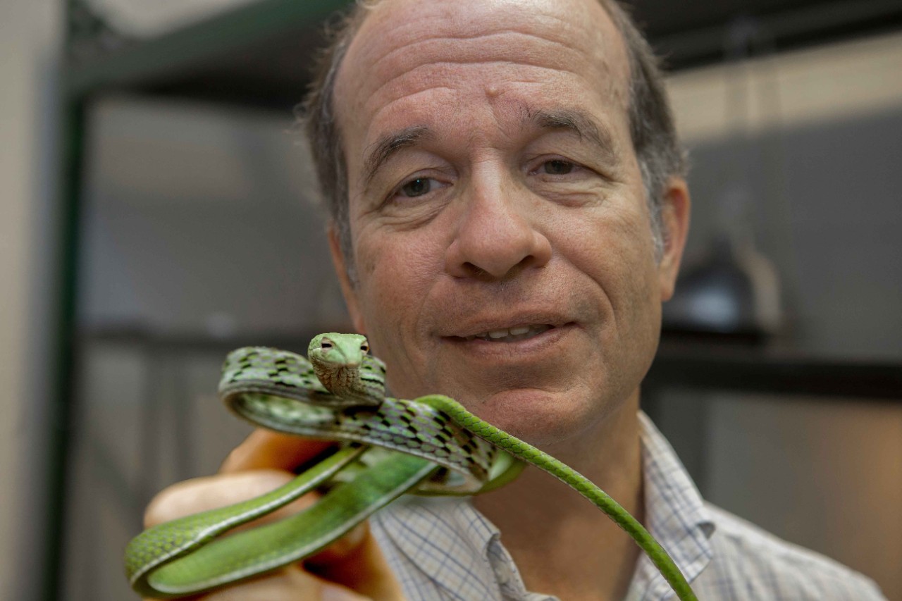 UC biologist sheds light on biology of Dune's sandworms | University of ...