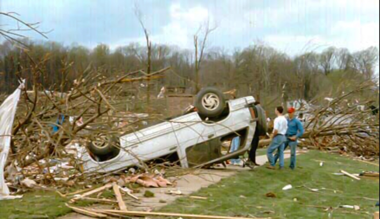 UC conducts long-term study of forest decimated by tornado 25 years ago ...
