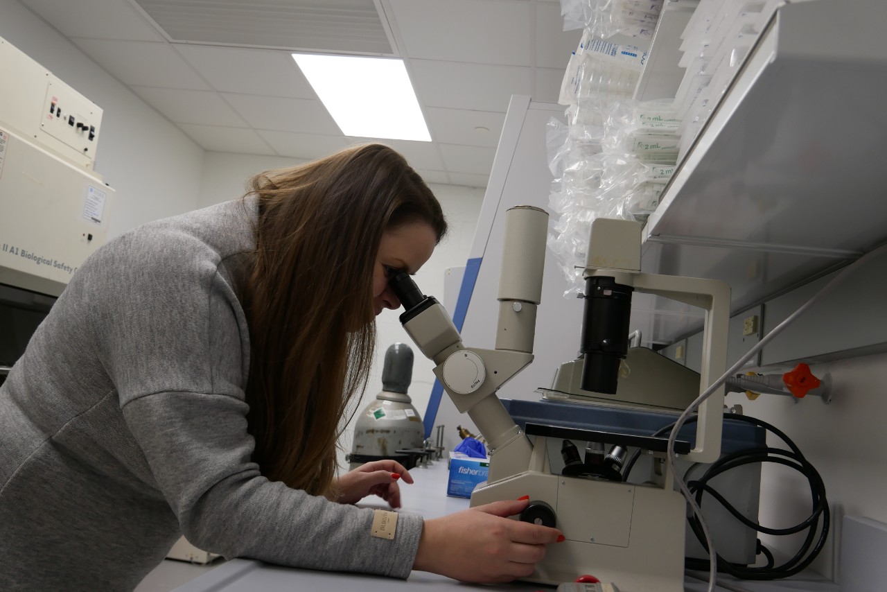 Biomedical engineer studying blunt blast brain injuries | University of ...