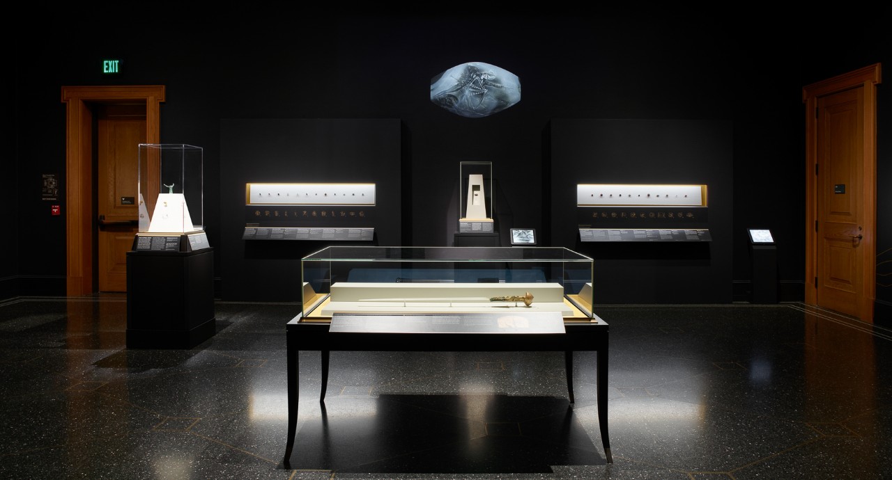 National media highlight discoveries by UC Classics researchers | University of Cincinnati