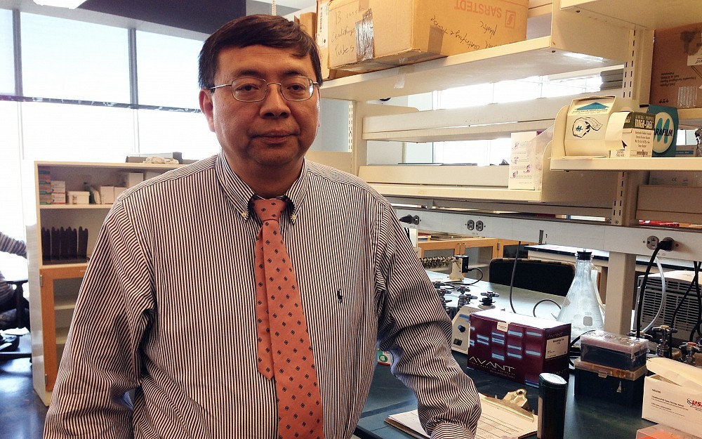 Cancer Biology Chair Hopes to Make Connections to Enhance Cancer ...